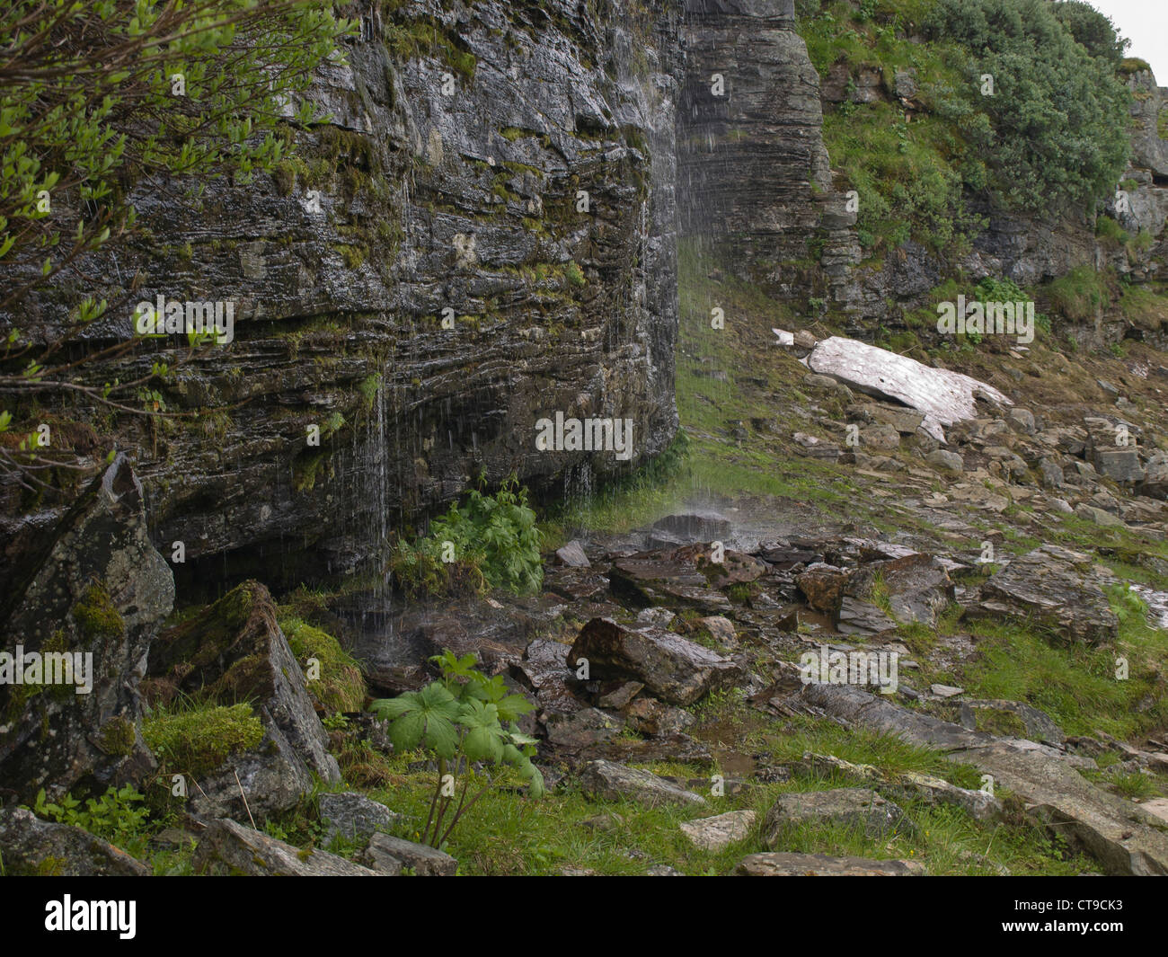 Trickle down hi-res stock photography and images - Alamy