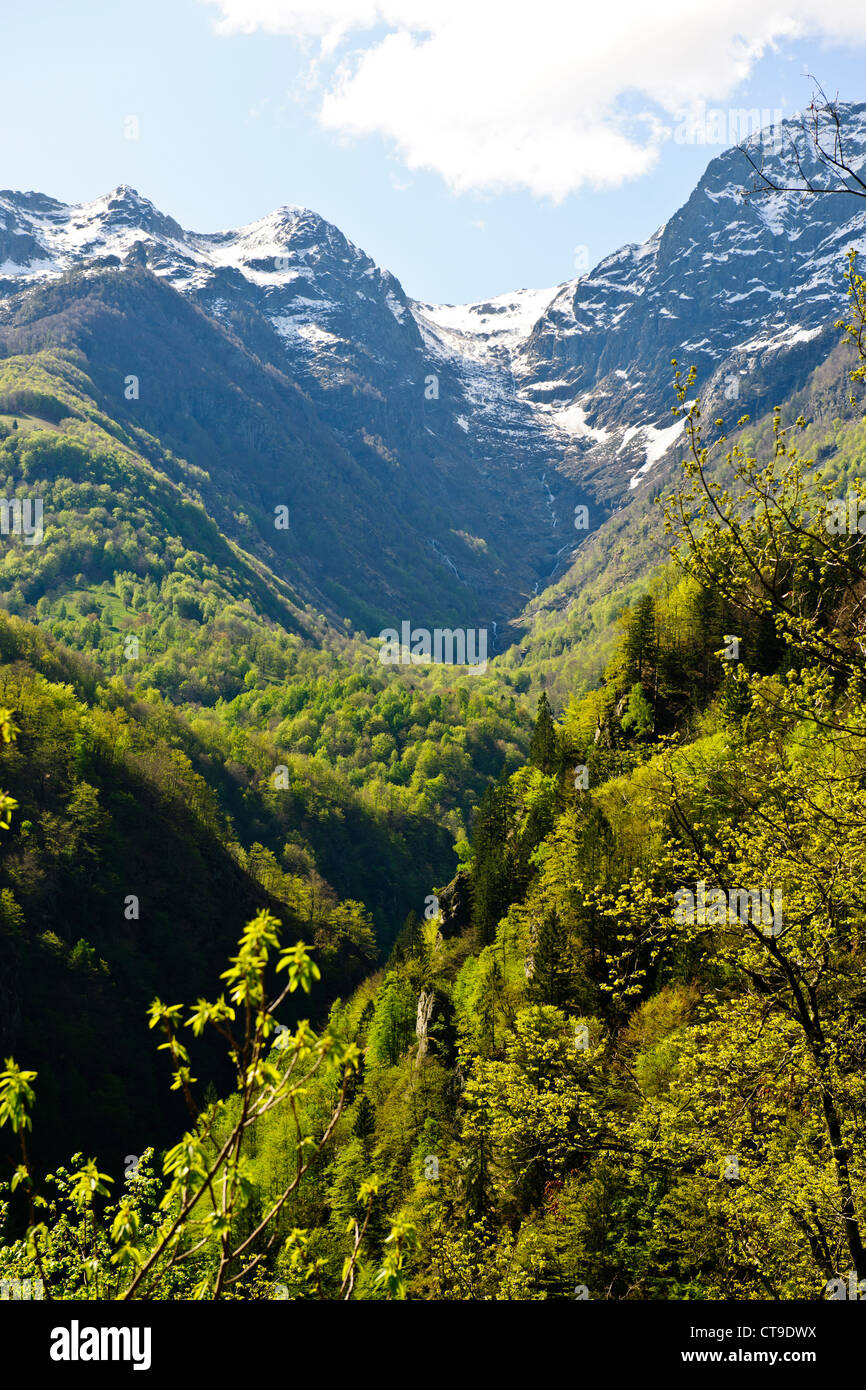Viaduct ponte brolla hi-res stock photography and images - Alamy
