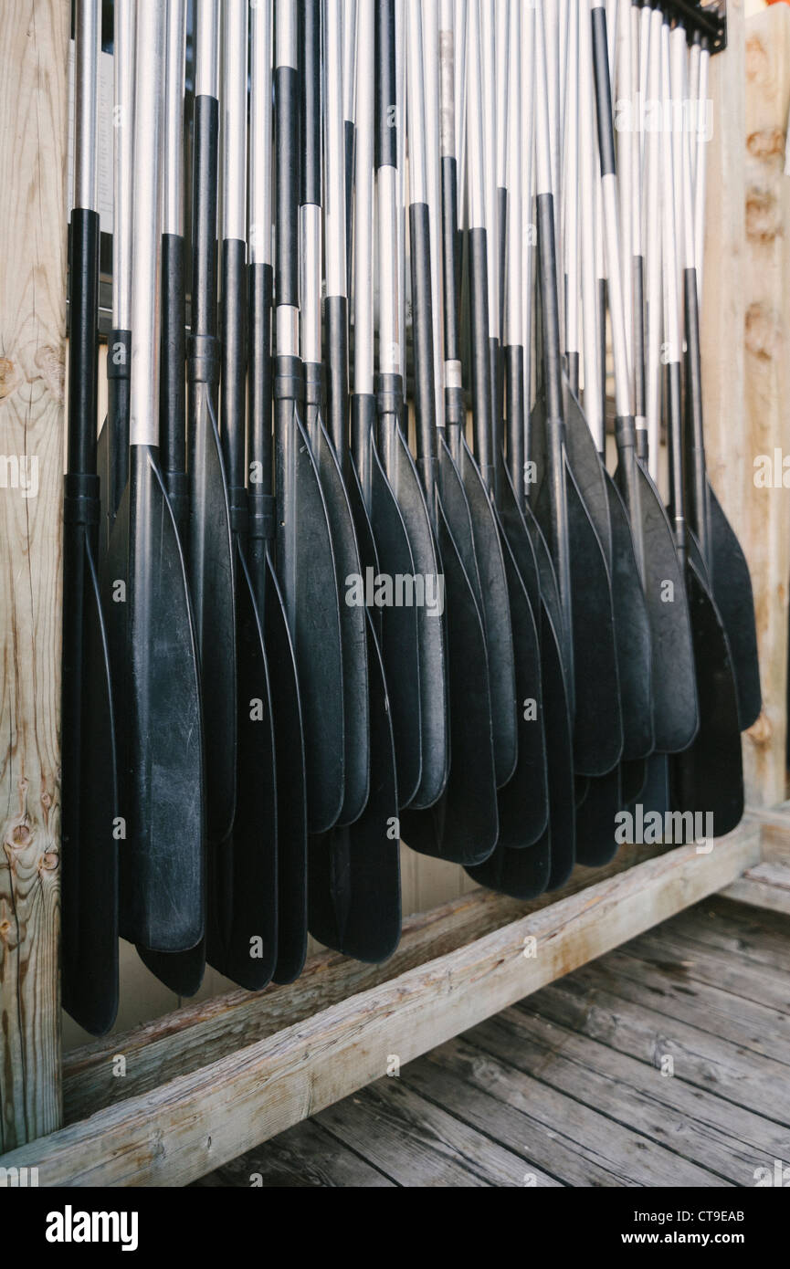 Black canoe paddles in a row Stock Photo - Alamy