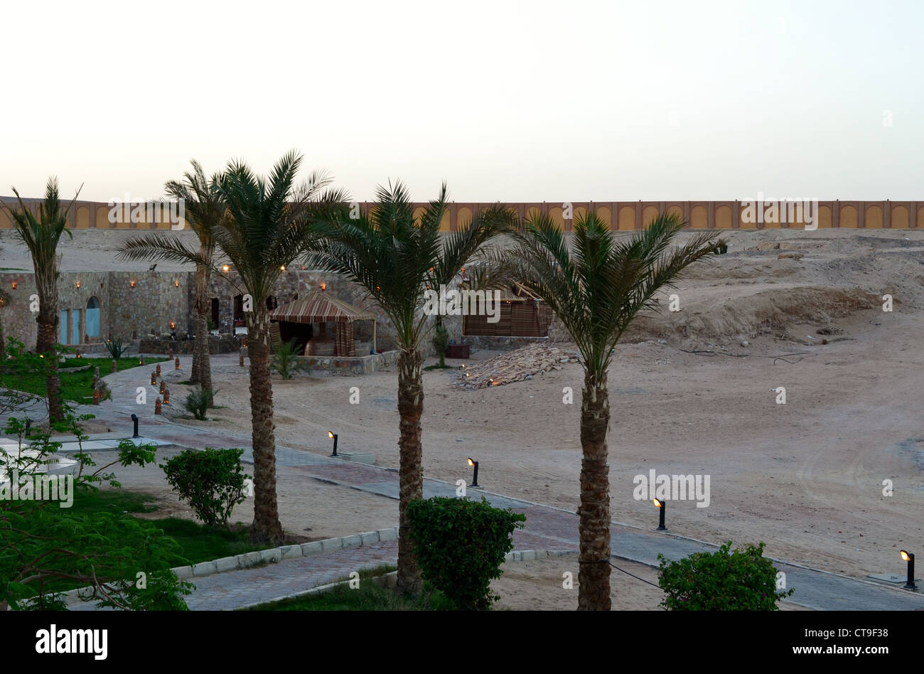 Egypt hurghada fish hi-res stock photography and images - Alamy