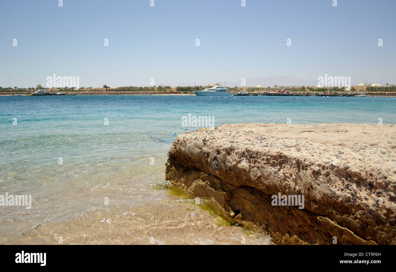 Hurghada fish egypt hi-res stock photography and images - Alamy