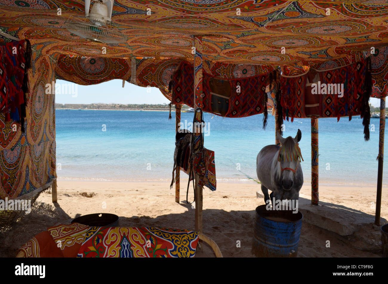 Makadi Bay Egypt Stock Photo - Alamy