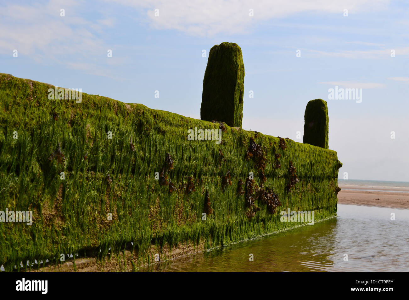 On the Beach at Camber Sands Stock Photo - Alamy