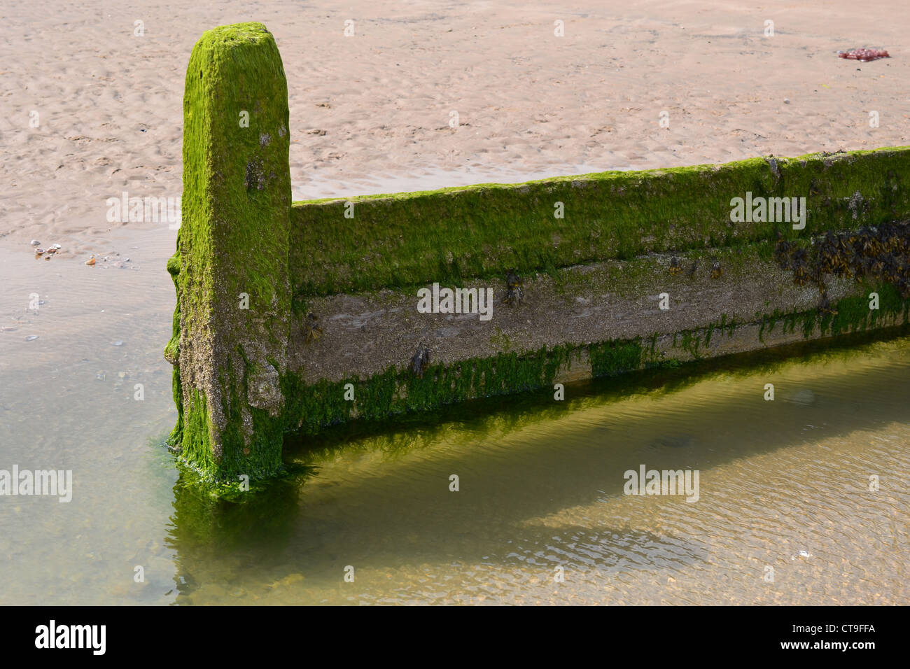 Camber Sands Caravan Stock Photos & Camber Sands Caravan Stock Images ...