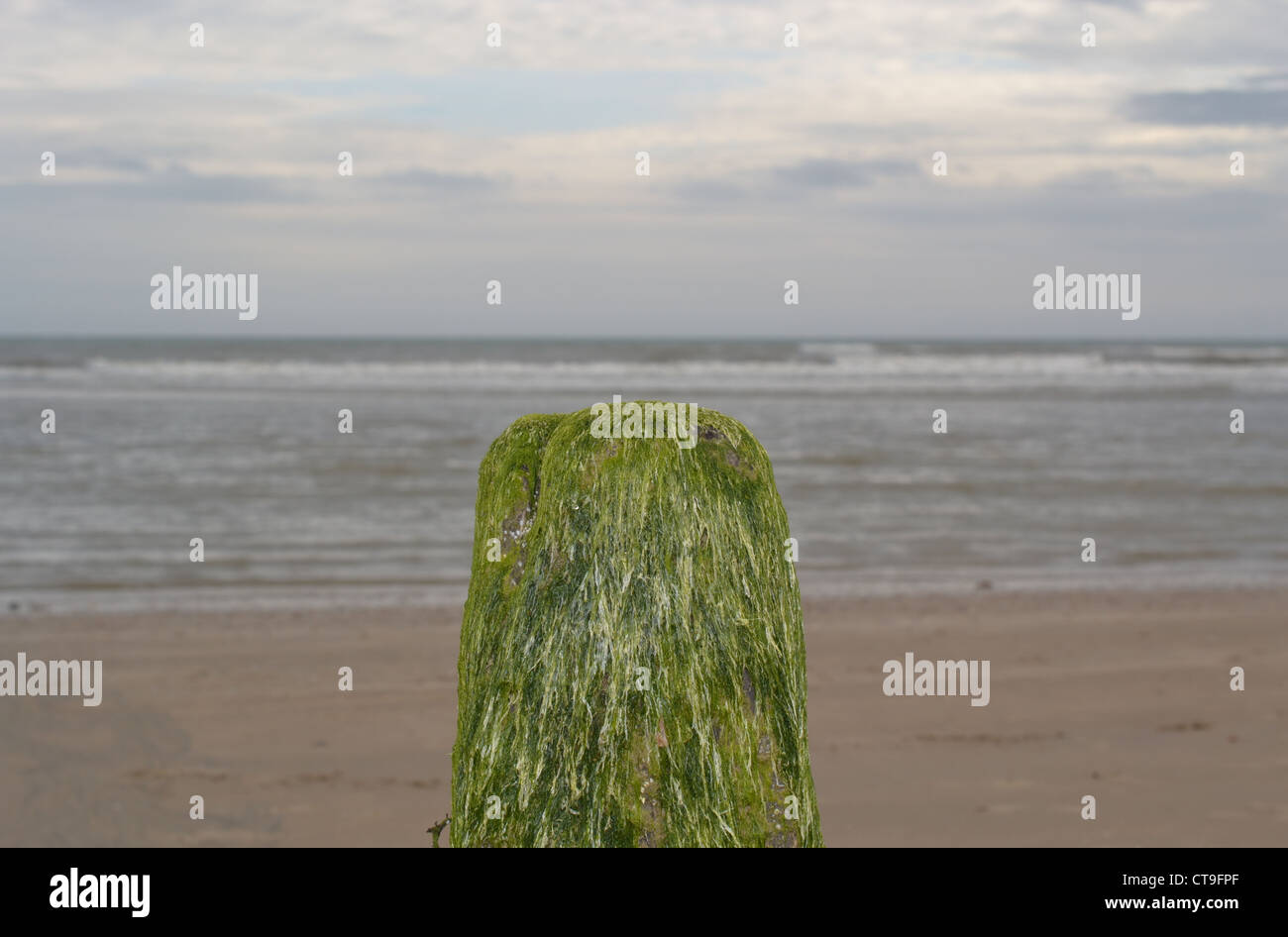 On the Beach at Camber Sands Stock Photo - Alamy