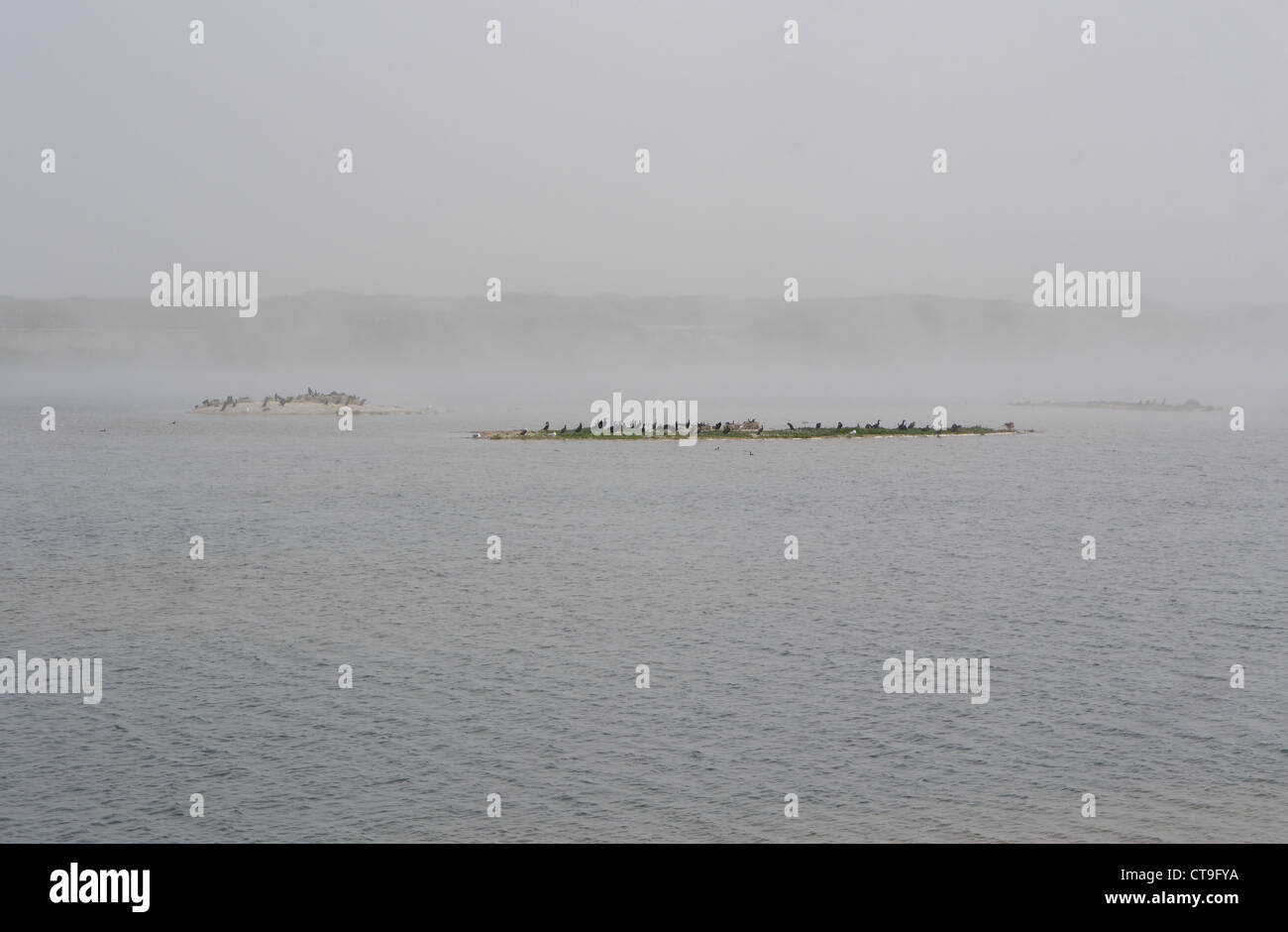 In and around Rye Stock Photo - Alamy