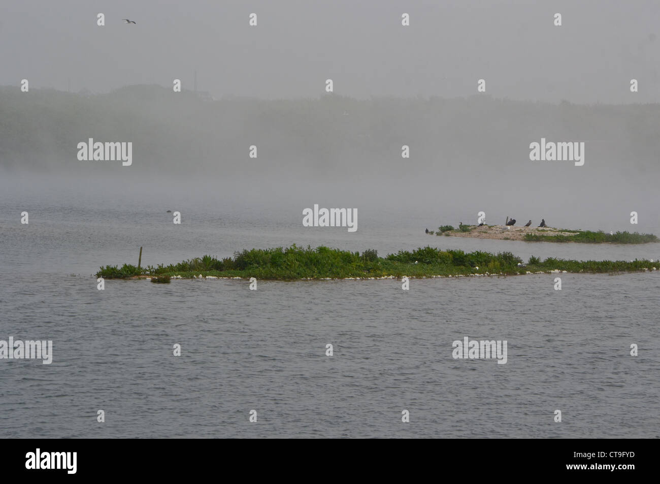 In and around Rye Stock Photo - Alamy