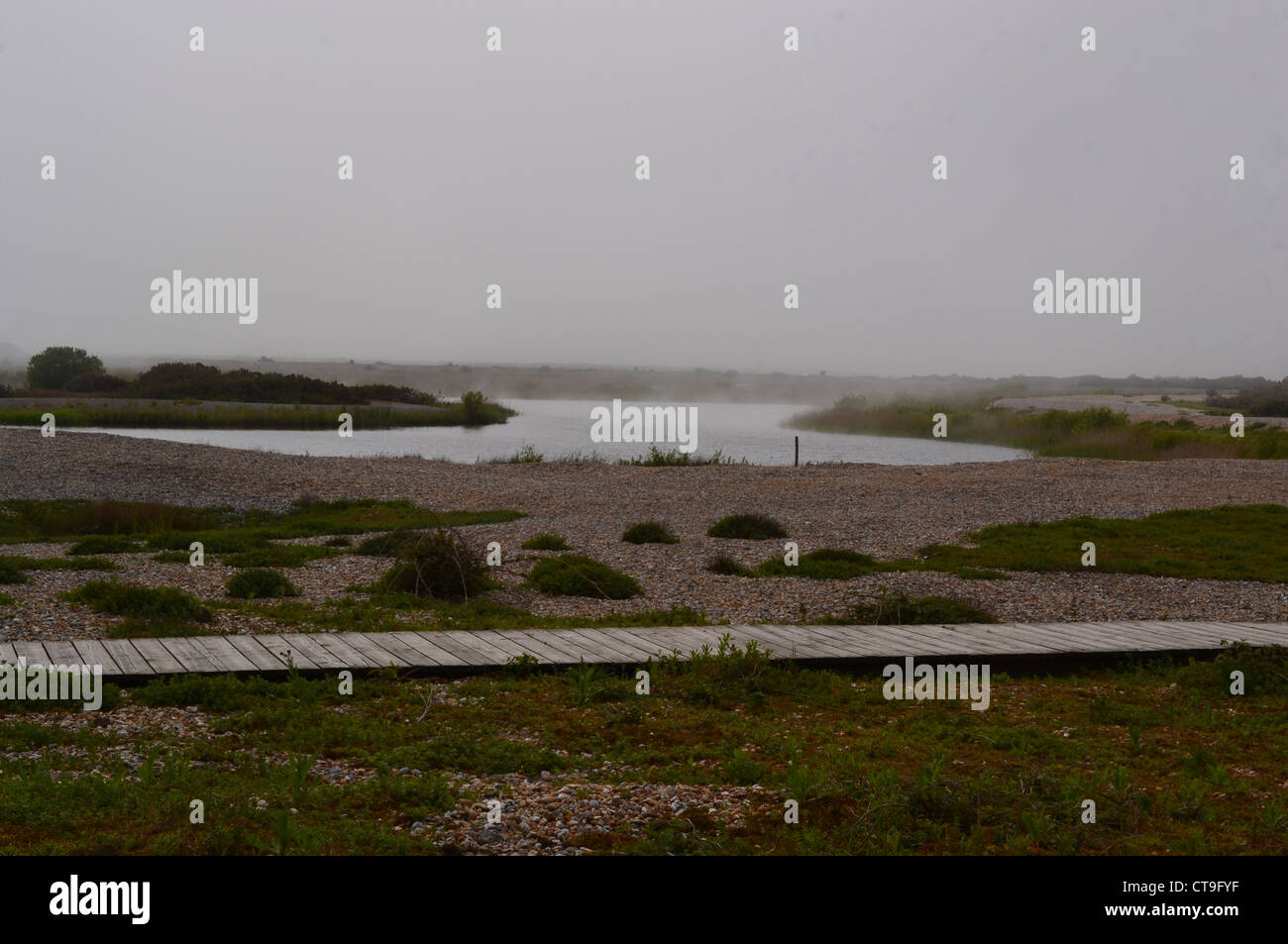 In and around Rye Stock Photo - Alamy