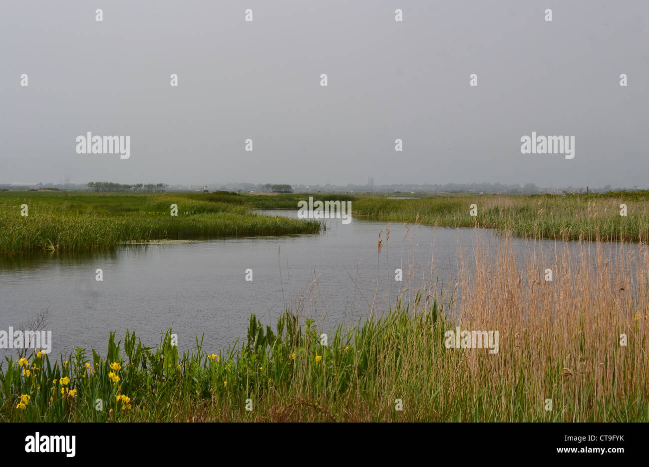 In and around Rye Stock Photo - Alamy
