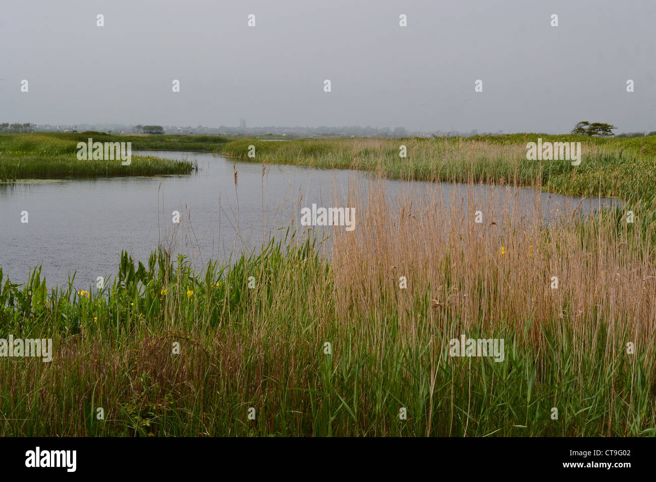 In and around Rye Stock Photo - Alamy