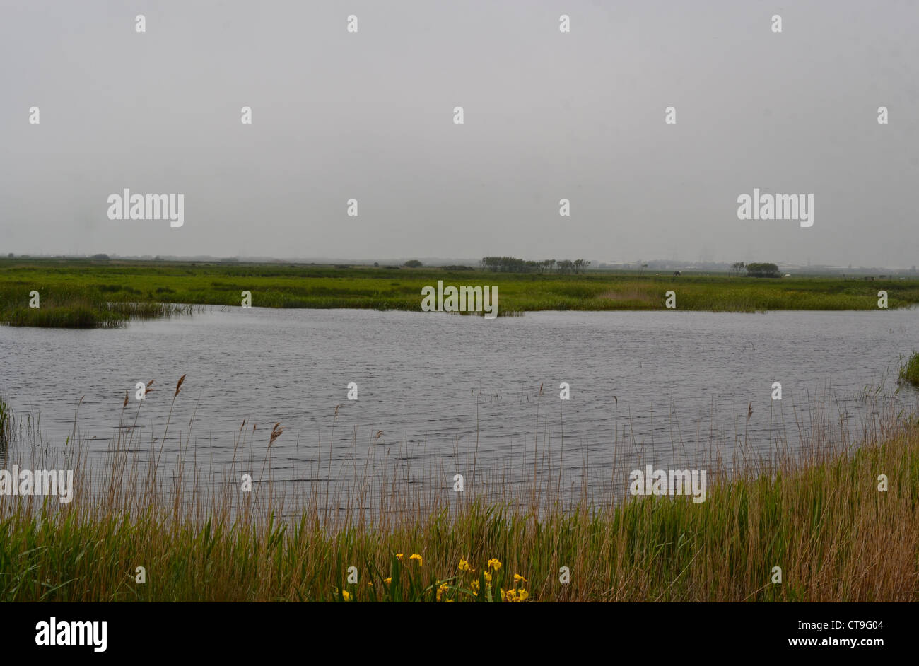 In and around Rye Stock Photo - Alamy