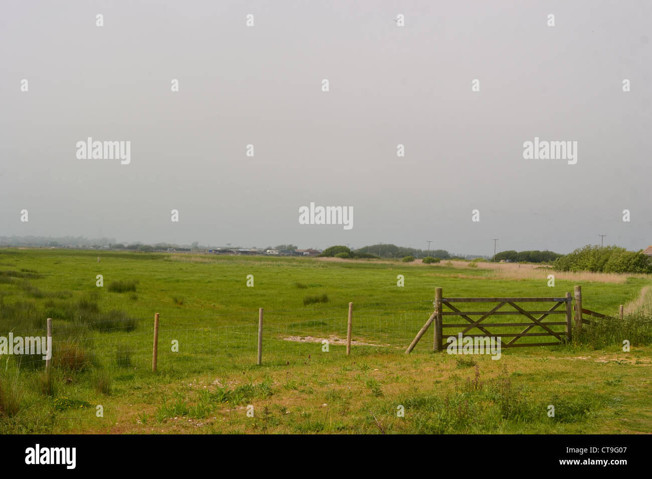 In and around Rye Stock Photo - Alamy