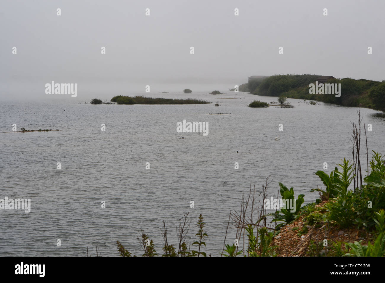 In and around Rye Stock Photo - Alamy