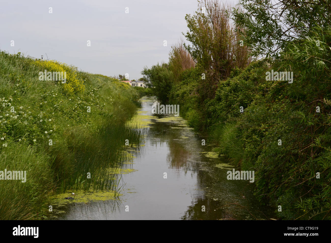In and around Rye Stock Photo - Alamy