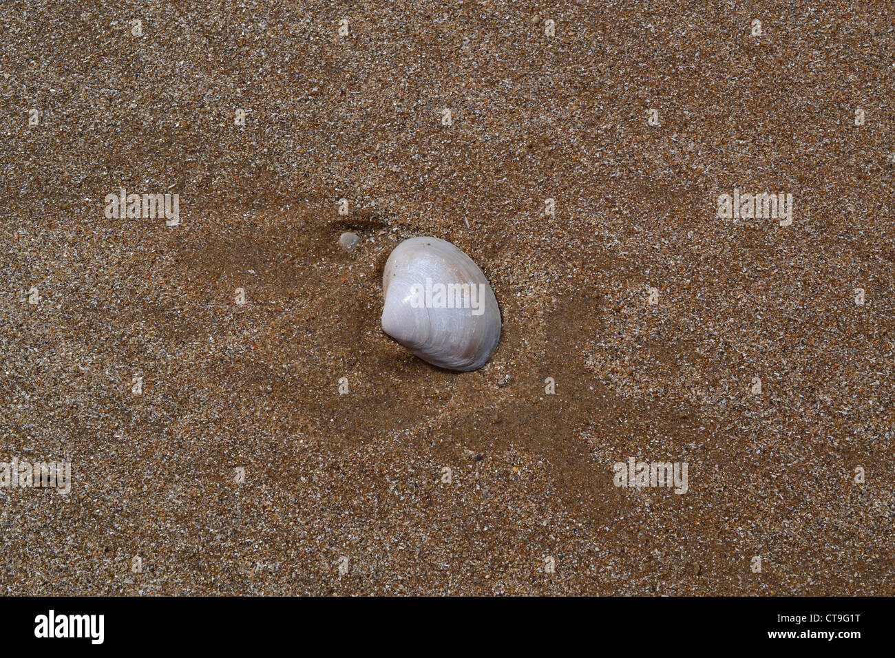 On the Beach at Camber Sands Stock Photo - Alamy