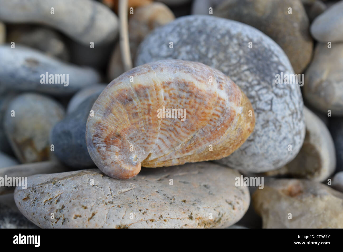 On the Beach at Camber Sands Stock Photo - Alamy