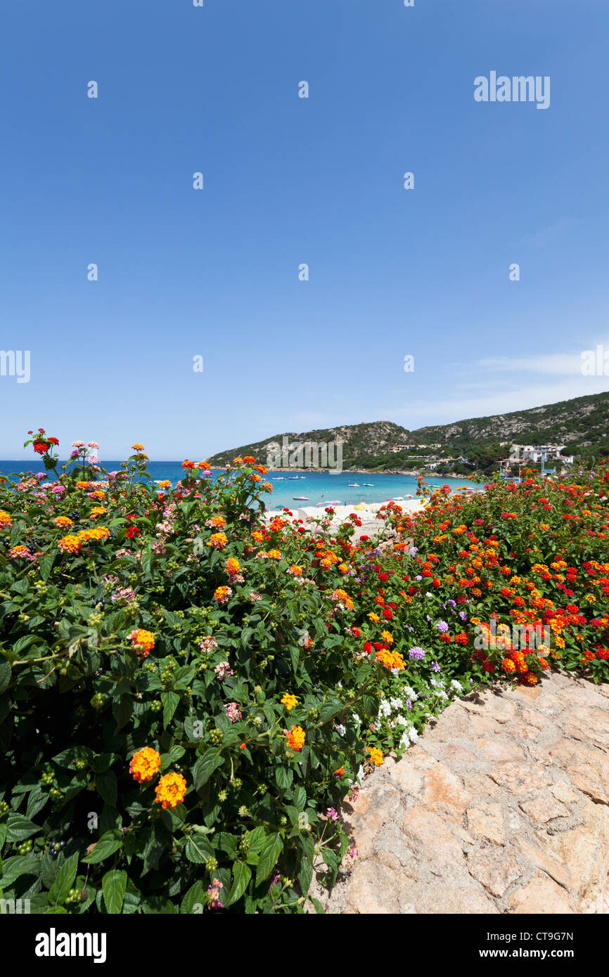 Beach promenade of Baja Sardinia with blooming flowers on Sardinia ...