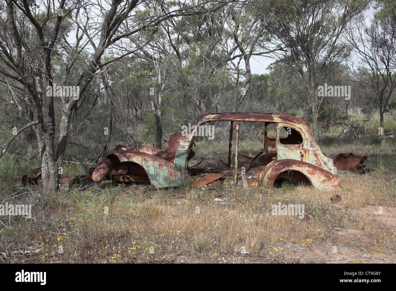 Rotten & rusted vintage classic car shell dumped in the Australian bush ...