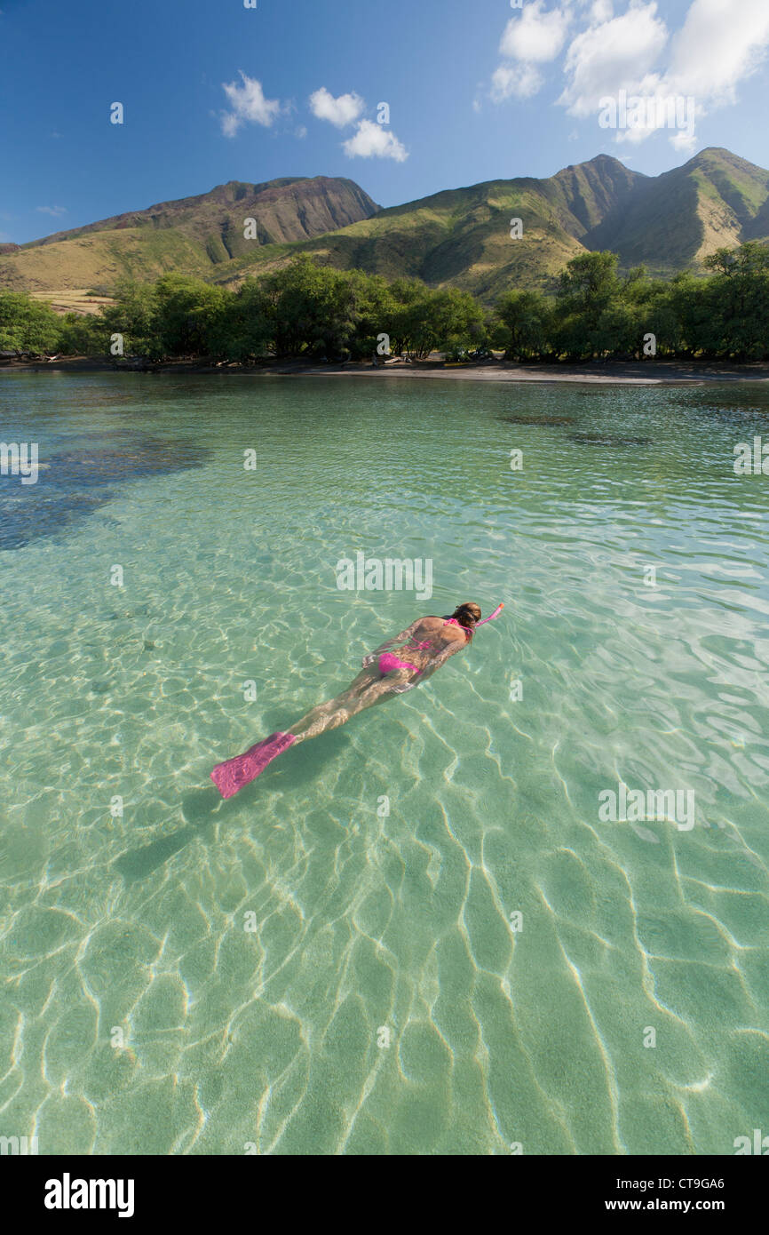 Snorkeling at Olowalu, Maui, Hawaii Stock Photo - Alamy