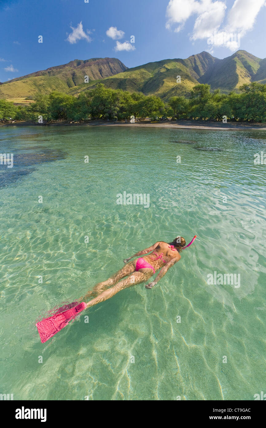 Snorkeling at Olowalu, Maui, Hawaii Stock Photo - Alamy