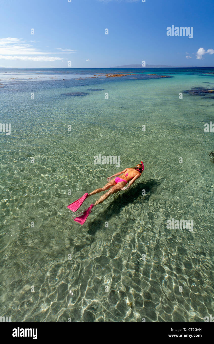 Snorkeling at Olowalu, Maui, Hawaii Stock Photo - Alamy
