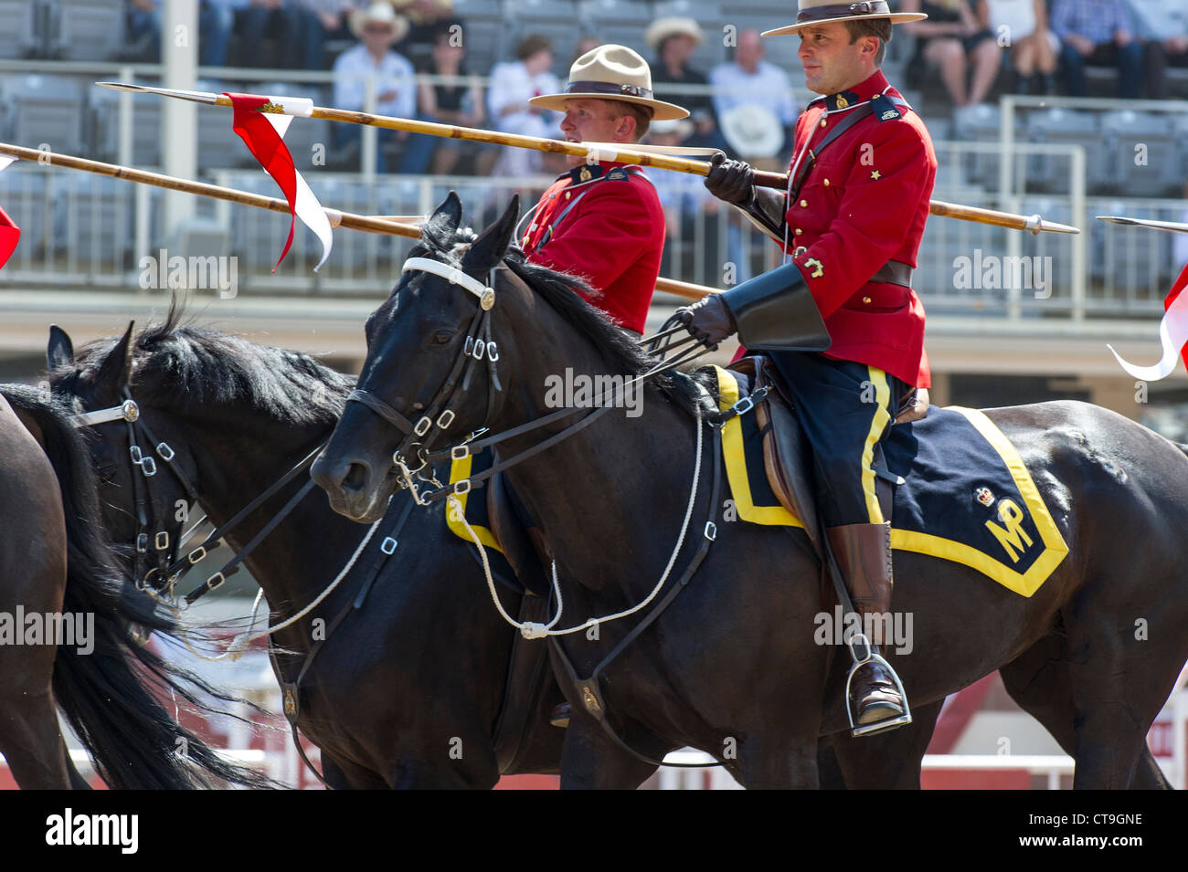 RCMP Musical Ride at the Calgary Stampede Rodeo Stock Photo - Alamy