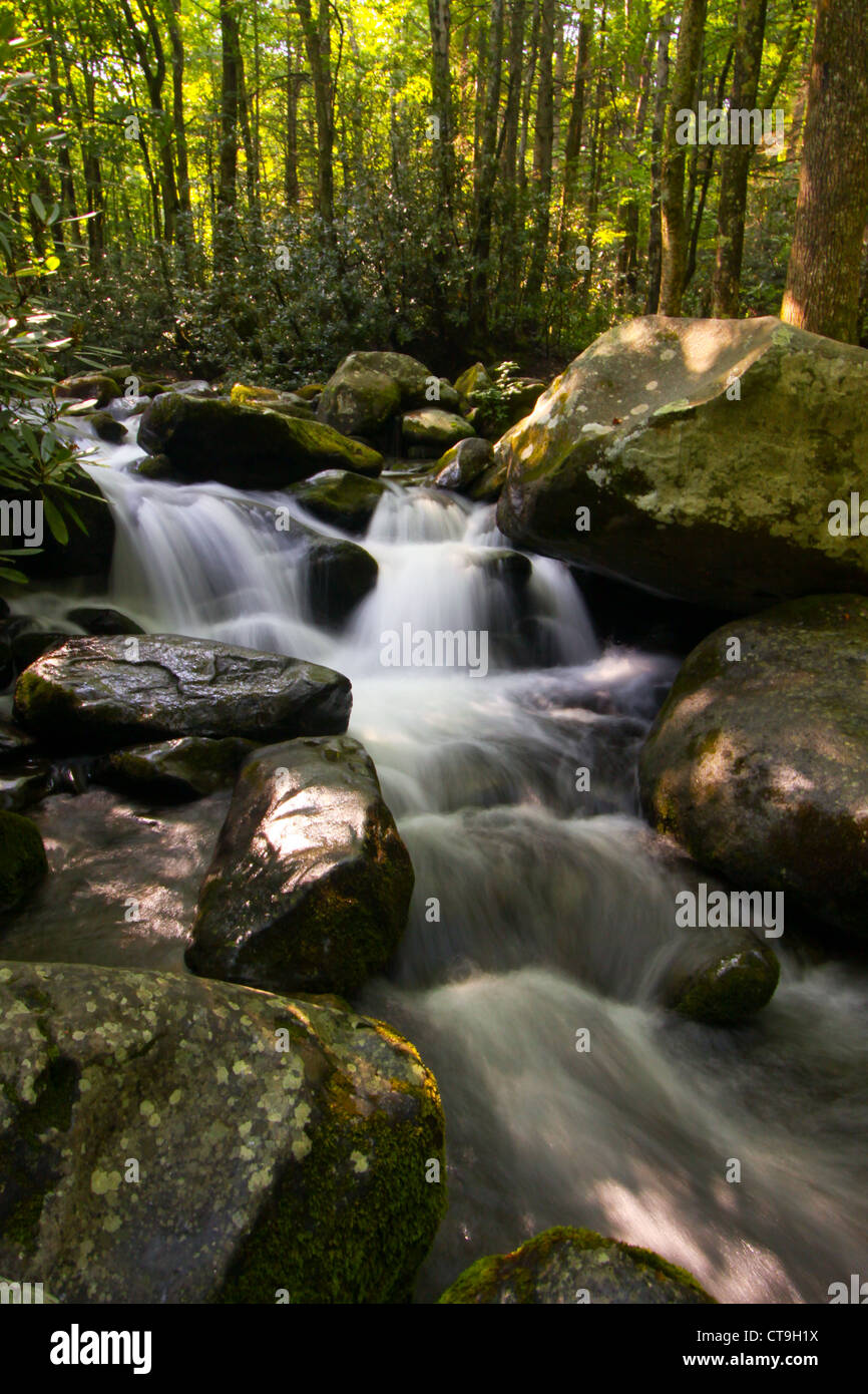 Cascade on Roaring Fork Motor Nature Trail in Great Smoky Mountains ...