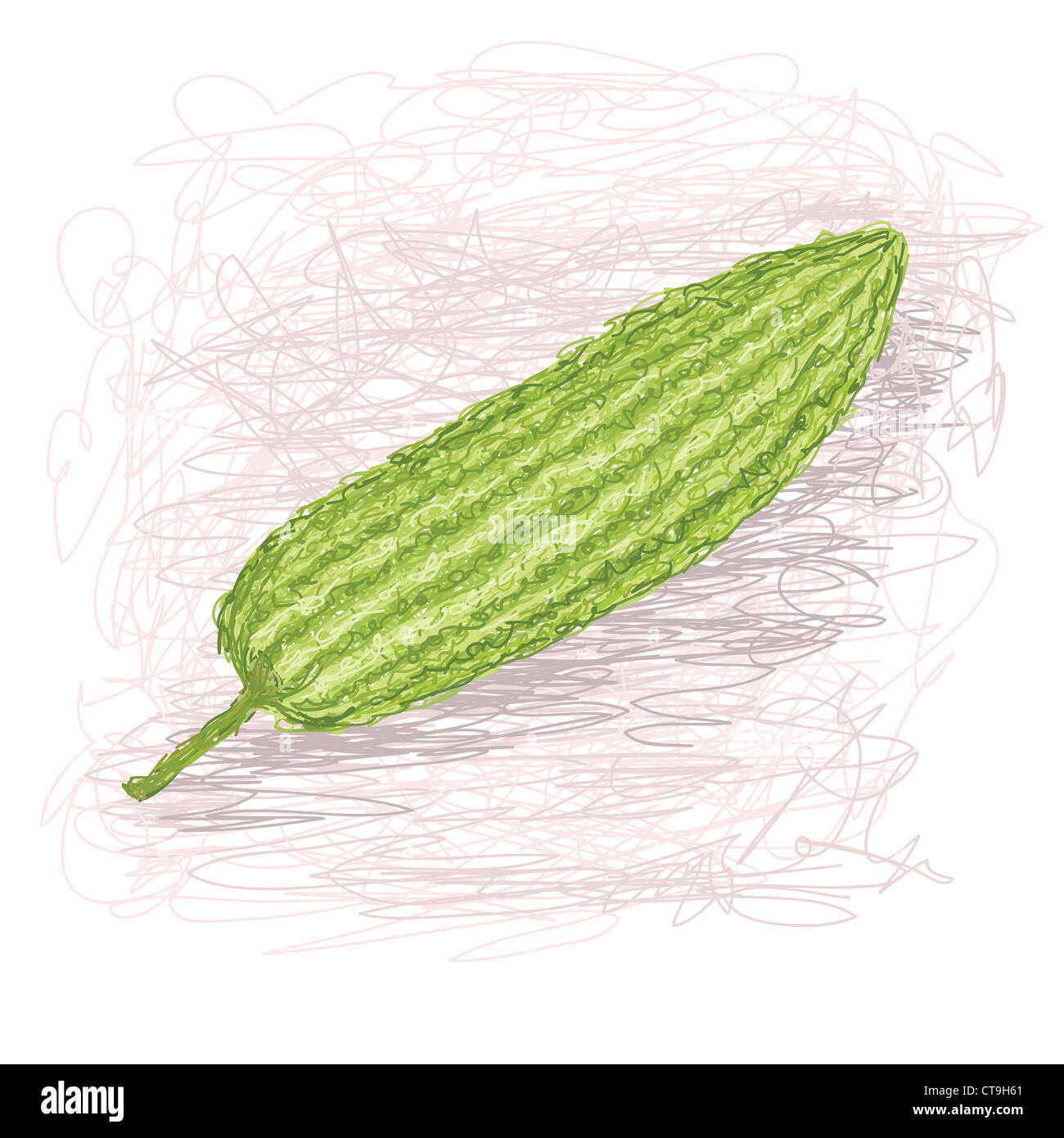 closeup illustration of a fresh bitter melon vegetable Stock Photo - Alamy