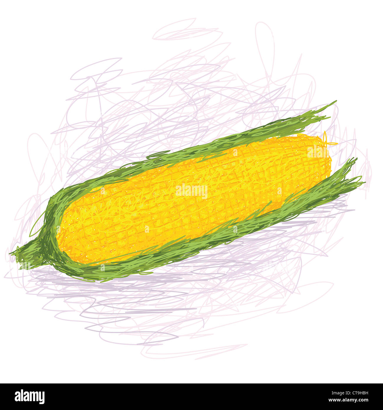 closeup illustration of a fresh yellow corn cob Stock Photo - Alamy