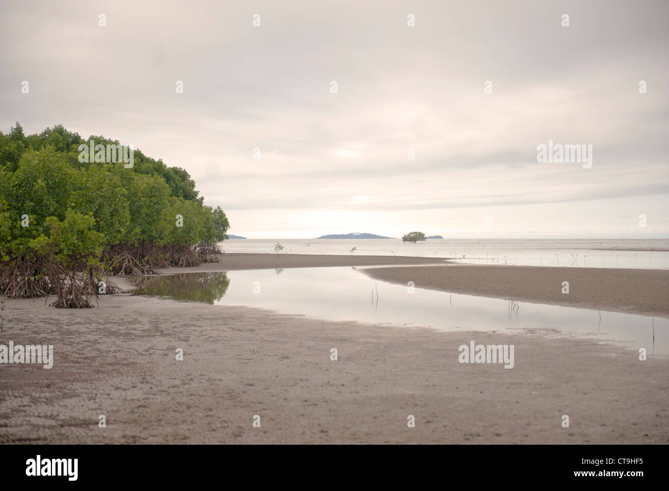Evening mood at low tide at Cooya Beach on the Cape York Peninsula in ...