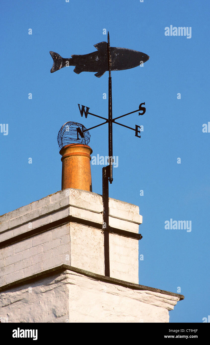 Fish weathervane, Herefordshire, UK Stock Photo - Alamy