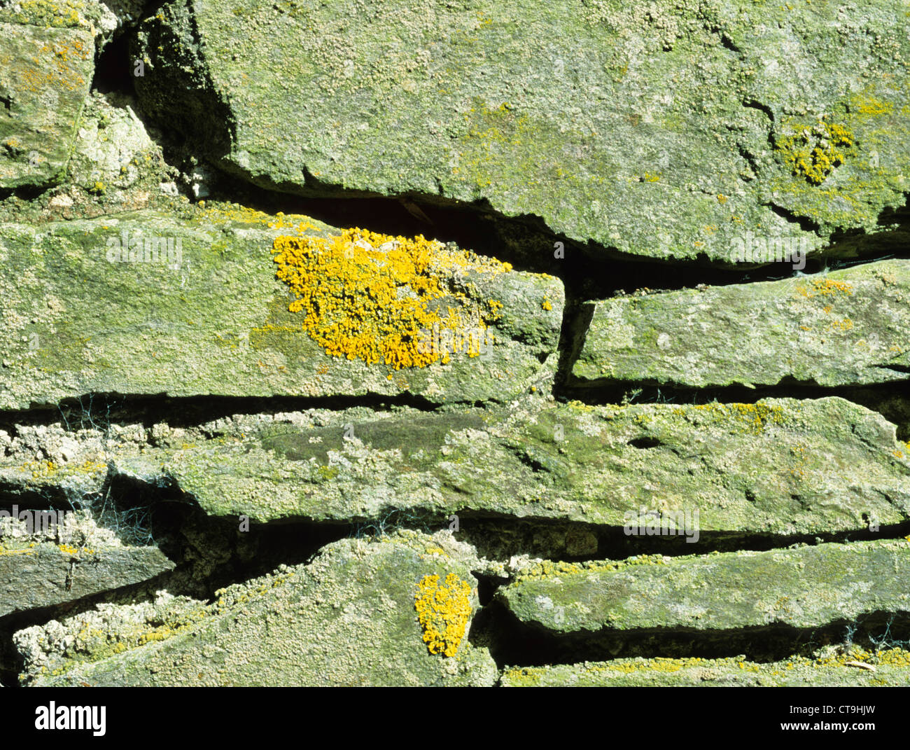 Random slate wall, Wales, UK Stock Photo - Alamy