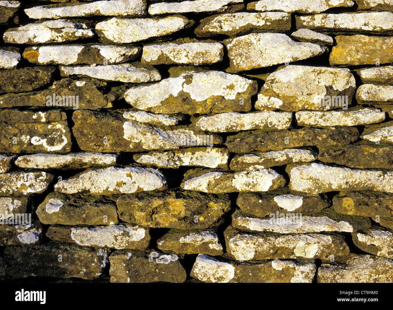 Lichen covered stone wall, Wales, UK Stock Photo - Alamy