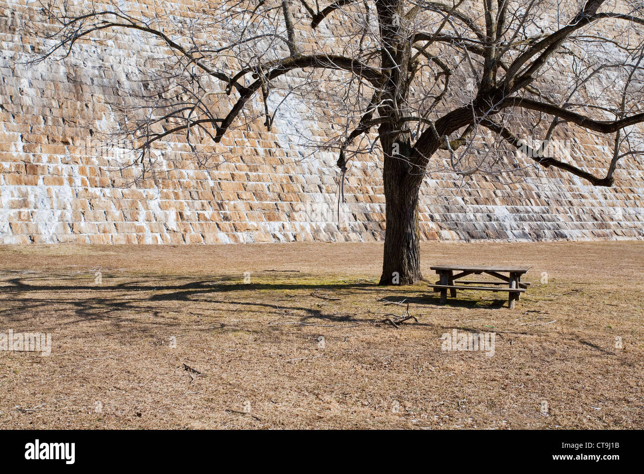 autumn scenery with tree and bench Stock Photo - Alamy