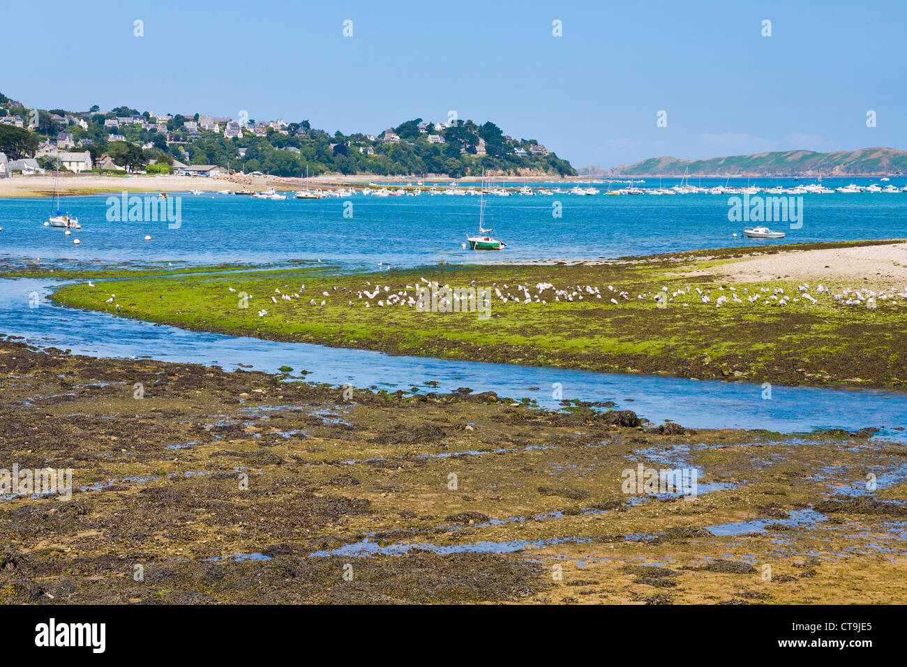ebb of tide water in Perros-Guirec coast, Brittany, France Stock Photo ...
