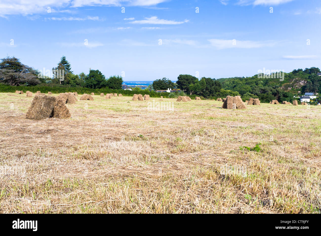straw stack in field near small Breton village Stock Photo - Alamy