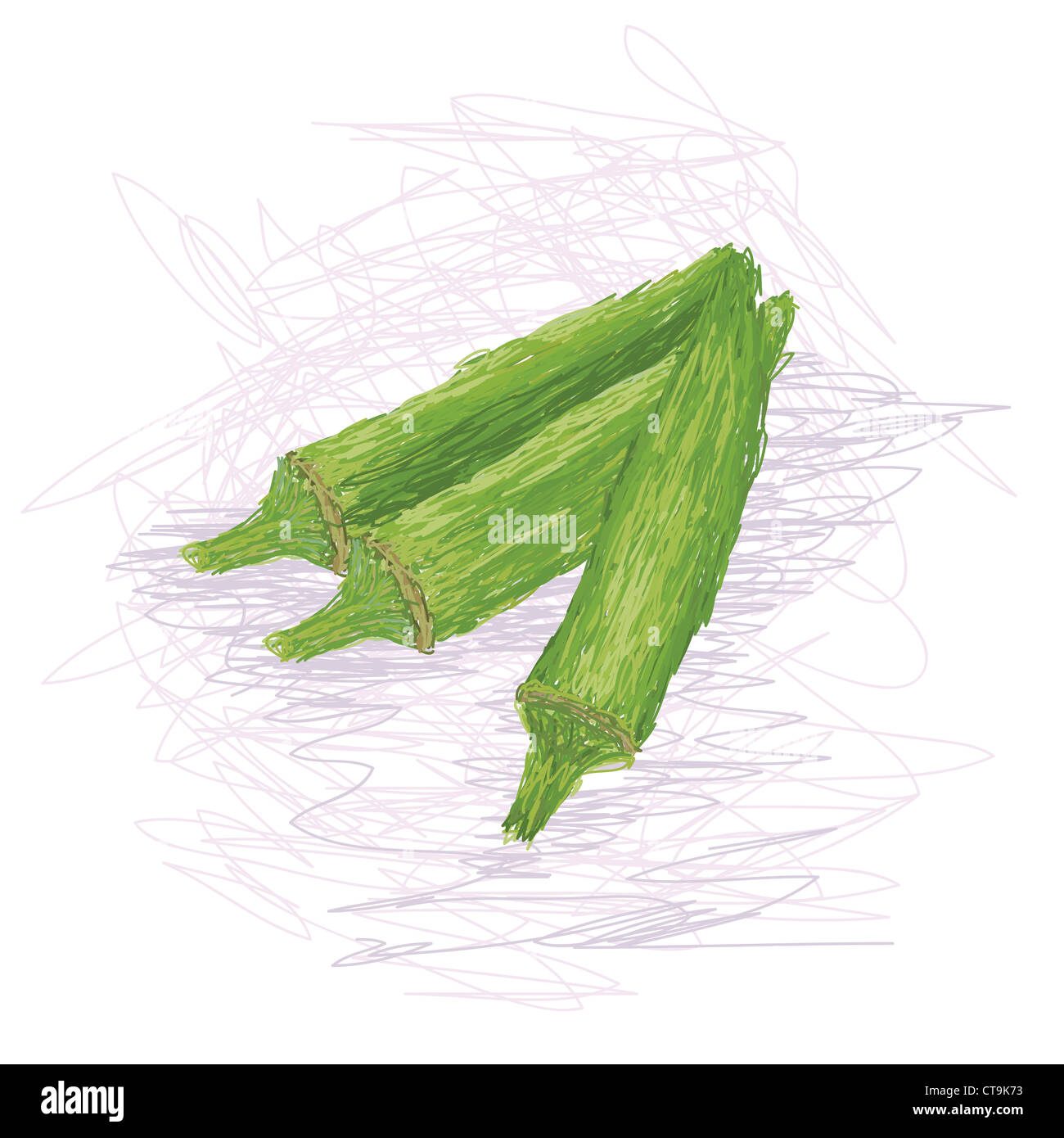 closeup illustration of fresh okra vegetable isolated Stock Photo - Alamy