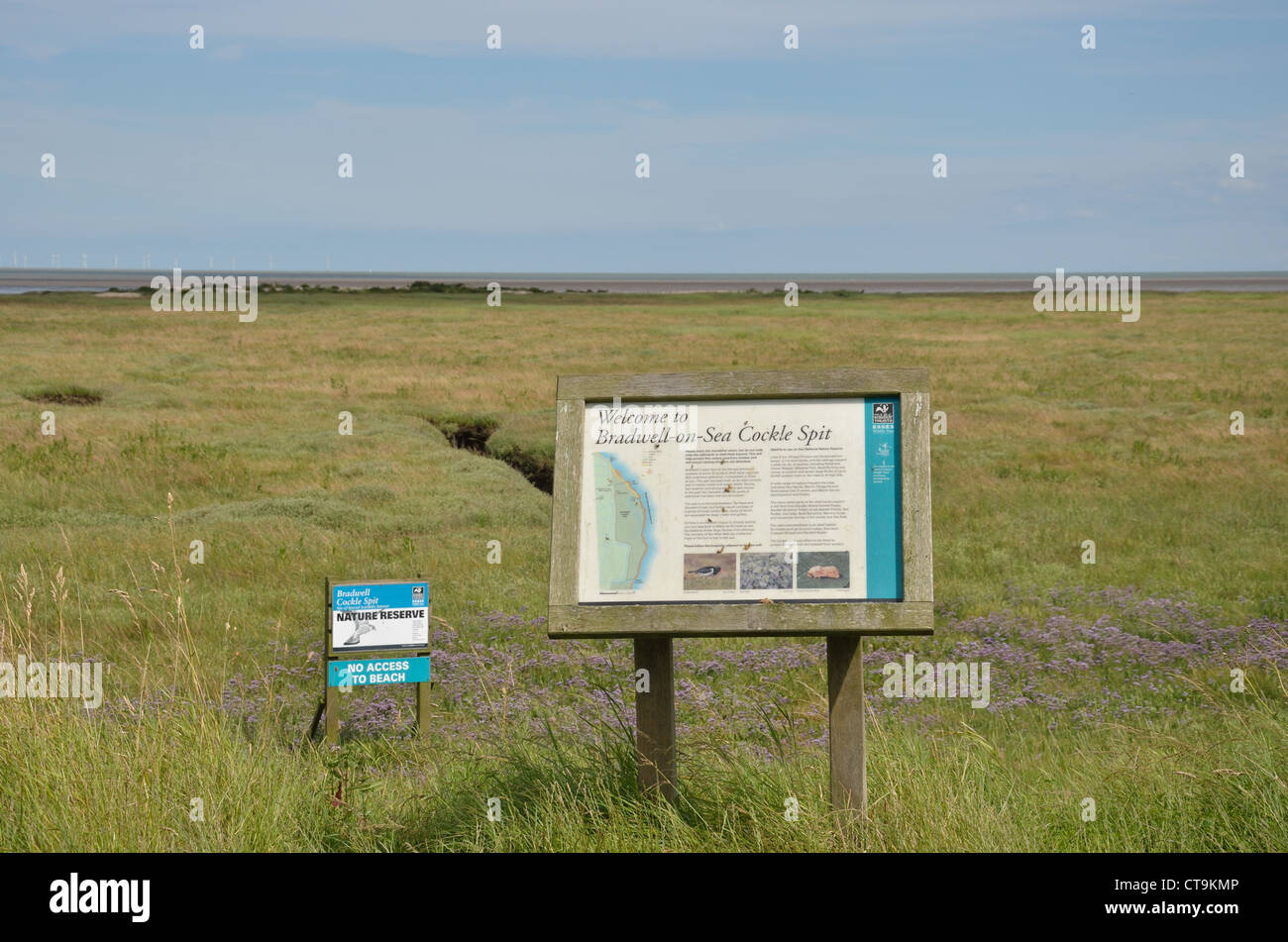 Spit nature reserve hi-res stock photography and images - Alamy