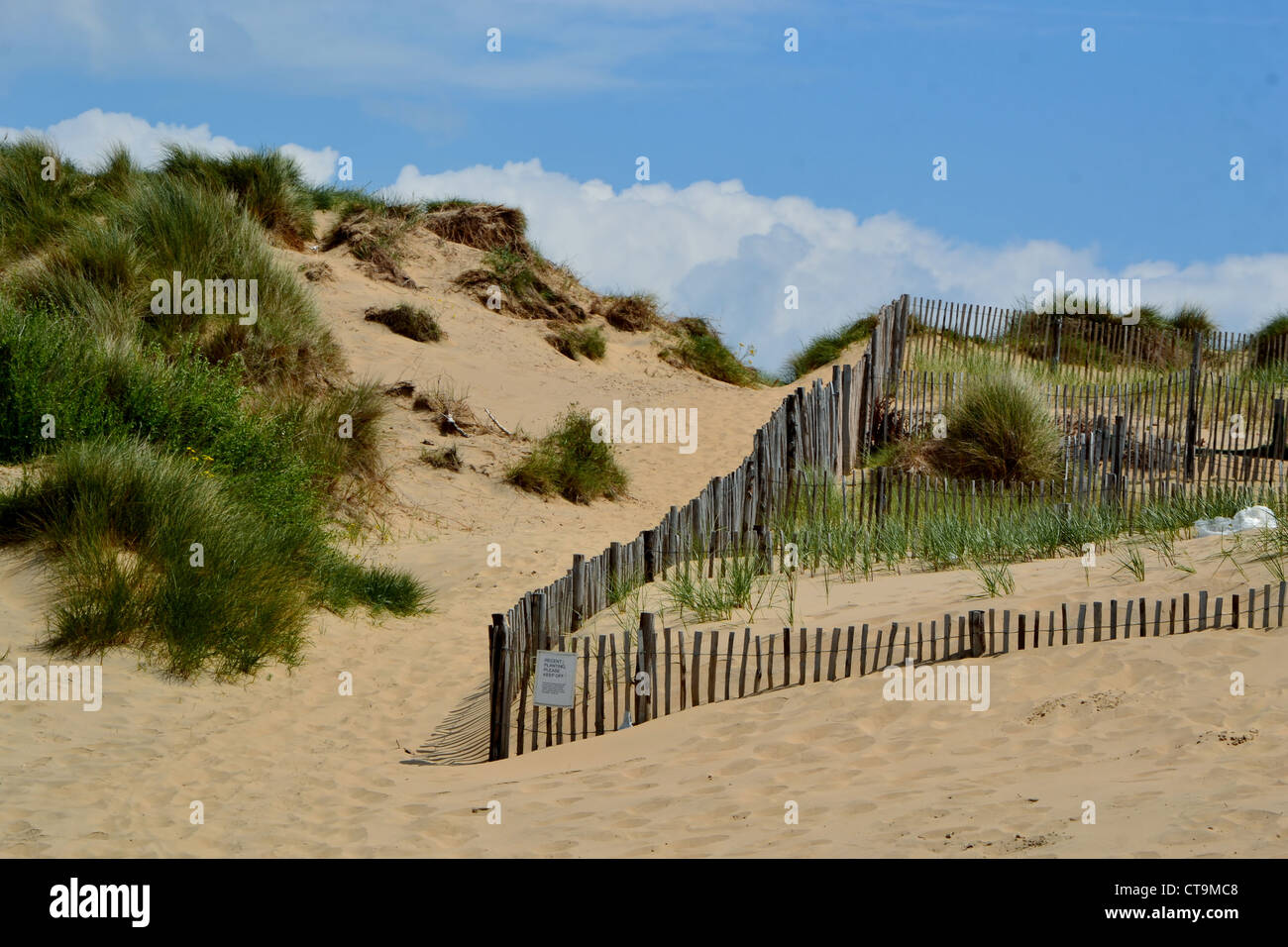 On the Beach Camber Sands Stock Photo - Alamy