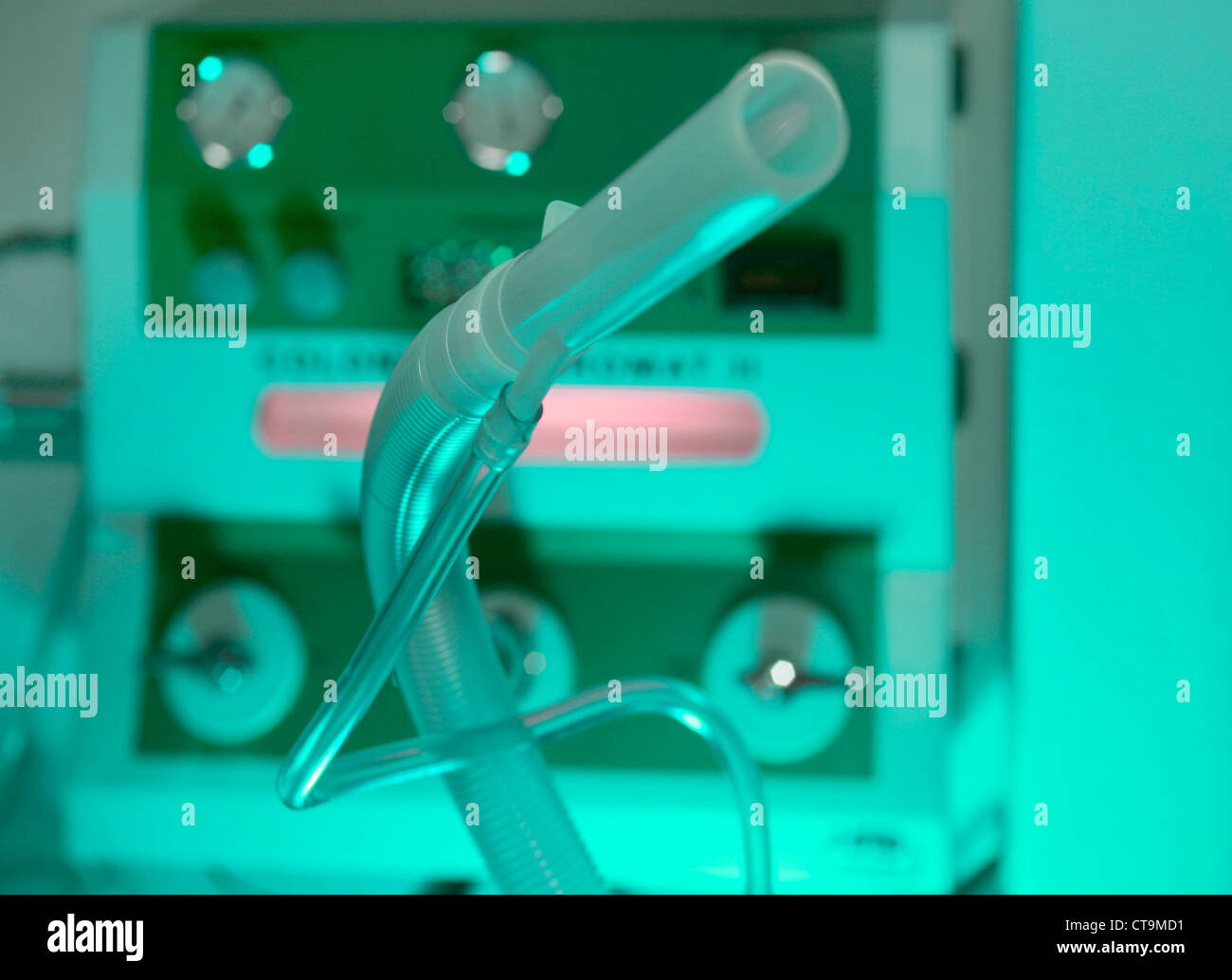 Speculum for treatment of colon hydrotherapy Stock Photo - Alamy