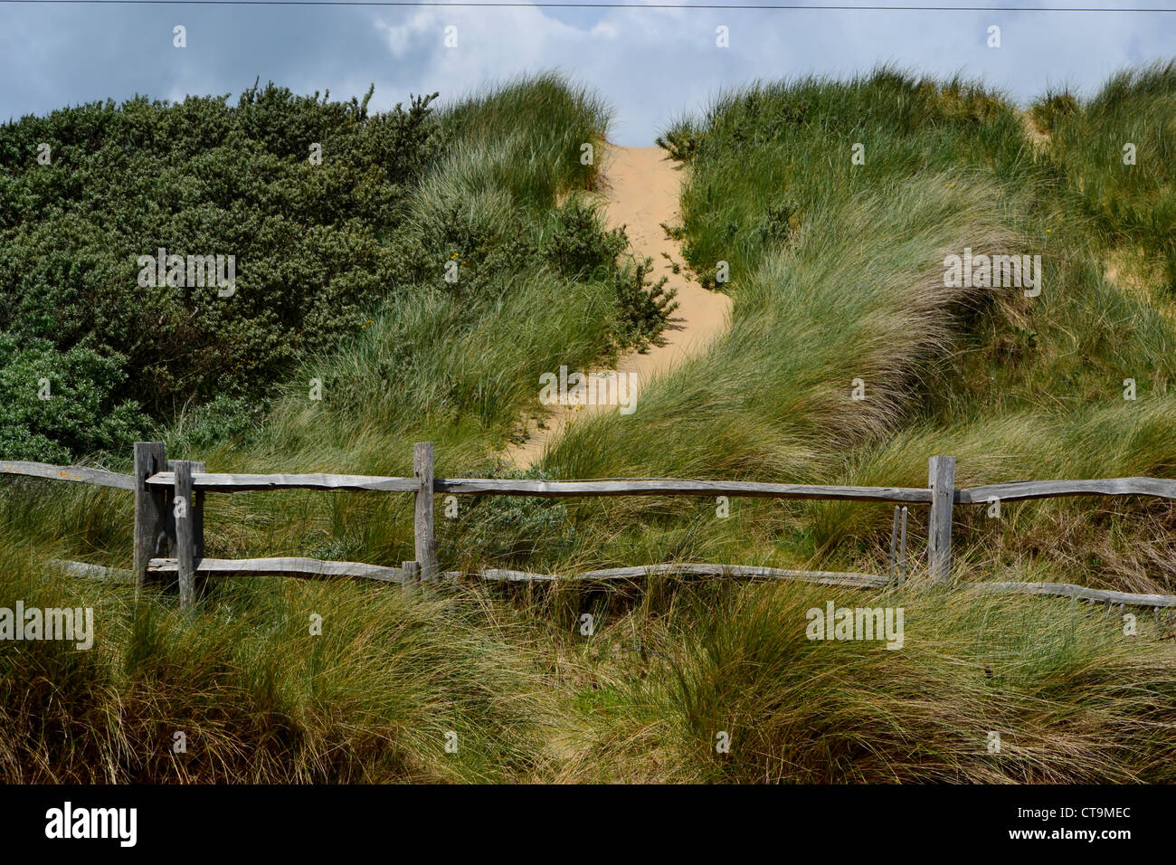 On the Beach Camber Sands Stock Photo - Alamy