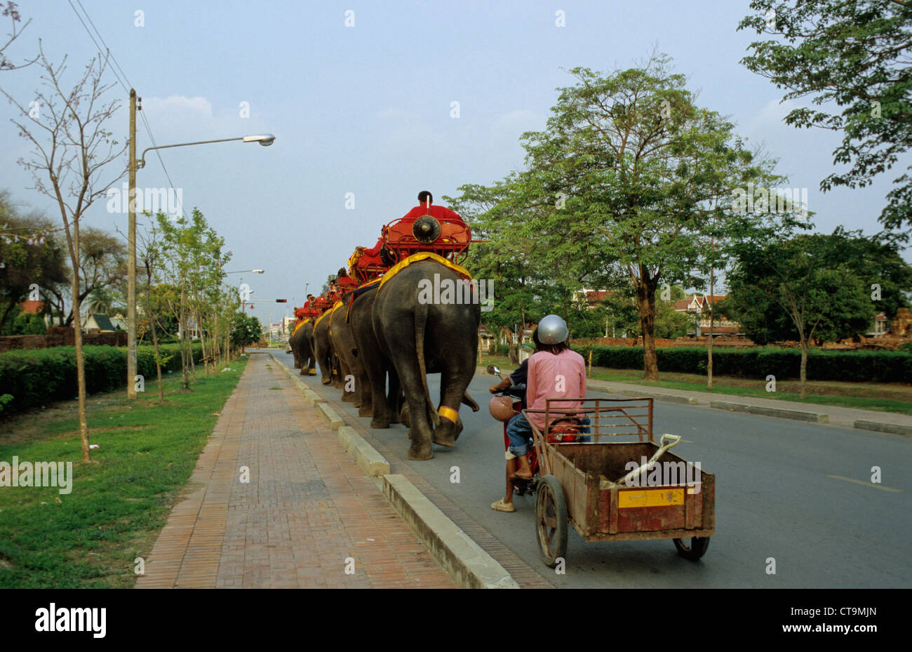 Scooters with trailer driving behind the elephant Stock Photo - Alamy