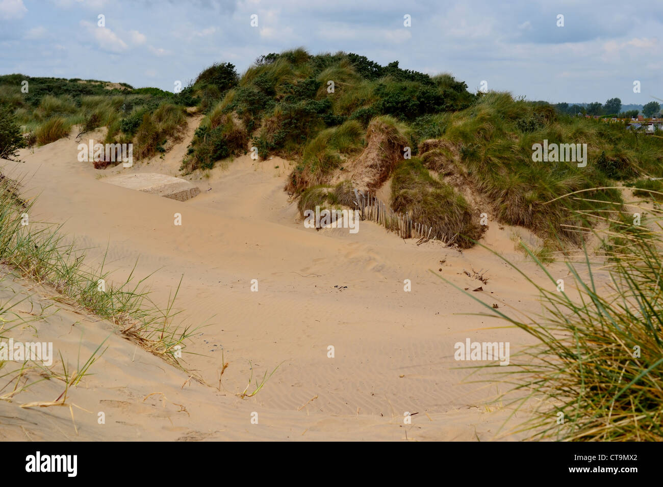 On the Beach Camber Sands Stock Photo - Alamy