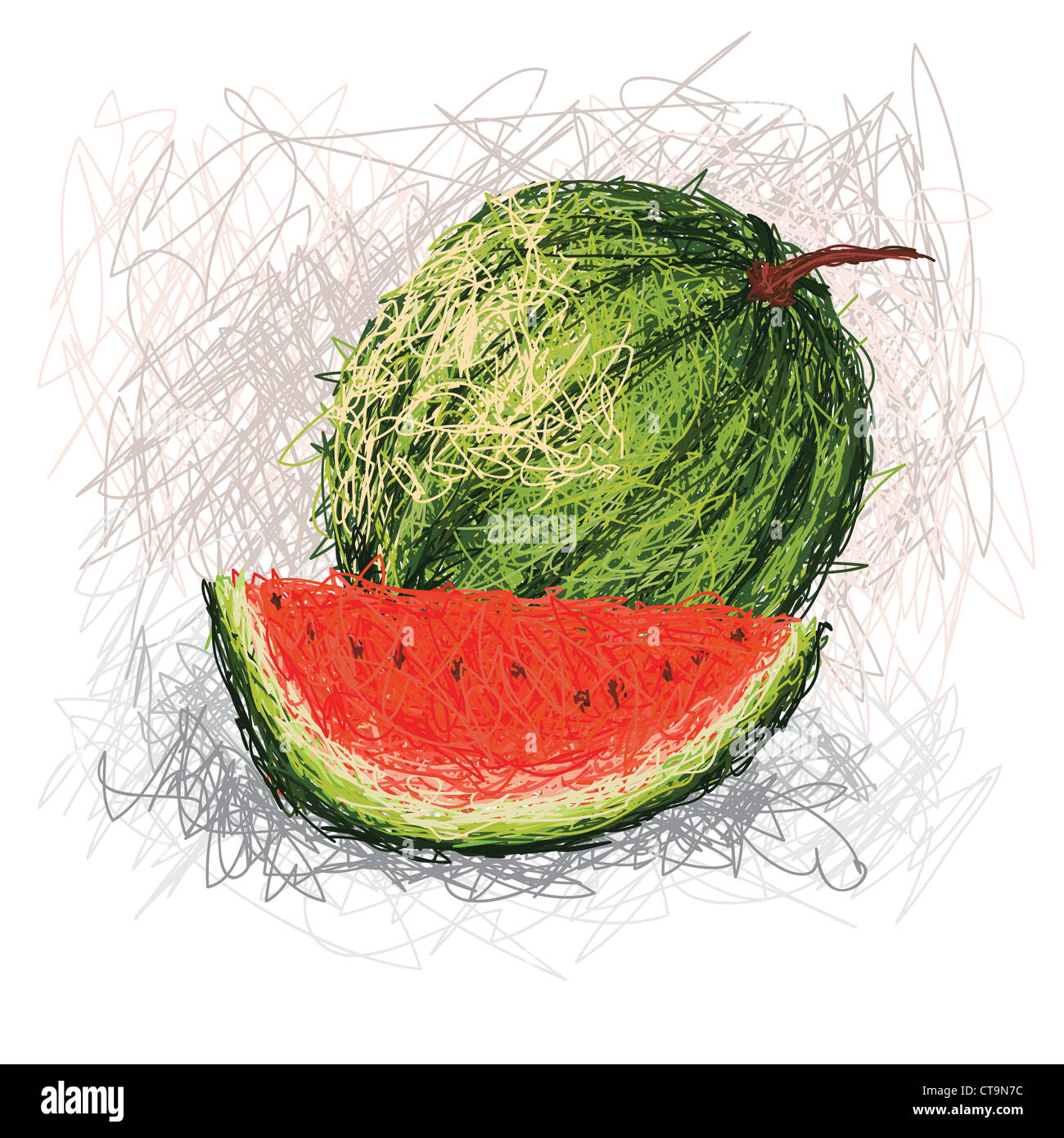 closeup illustration of a fresh watermelon fruit Stock Photo - Alamy