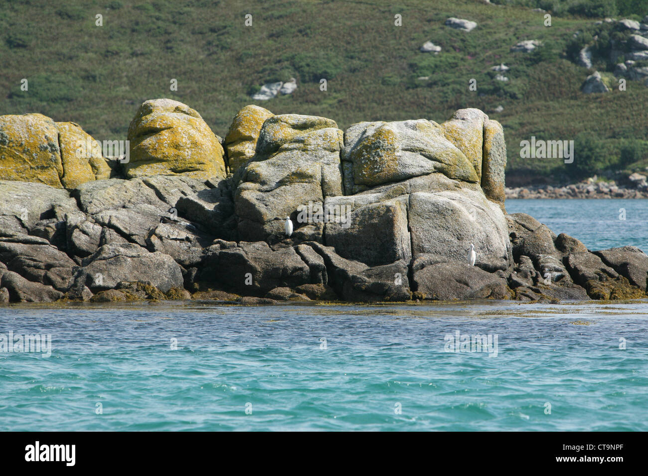 coast around the scilly isles England UK Stock Photo - Alamy
