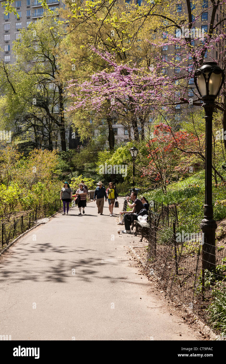 Central park new york spring hi-res stock photography and images - Alamy
