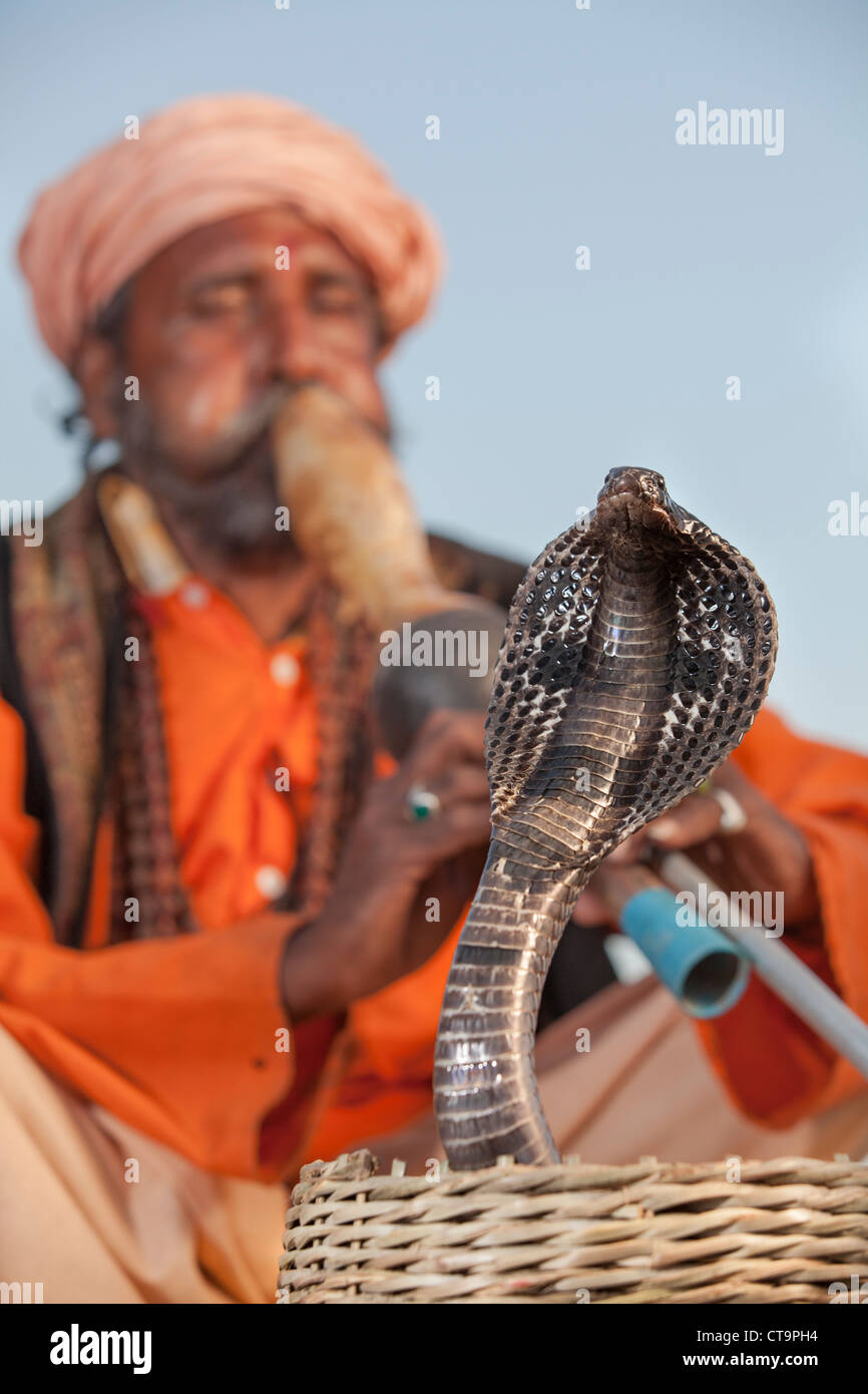 Indian Hindu culture, Cobra charmer with flute, Varanasi, Uttar Pradesh ...