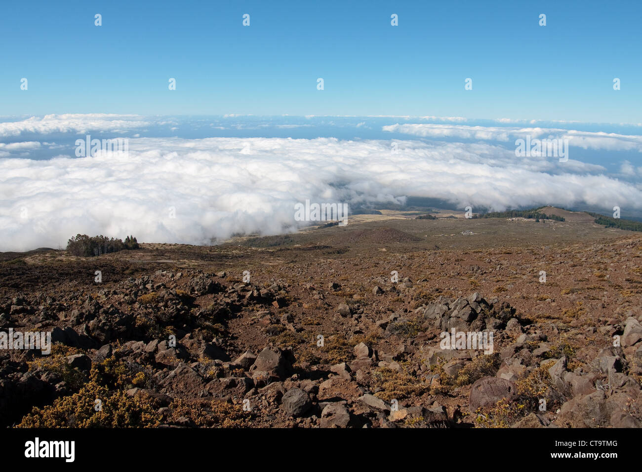 Hawaii maui 2012 hi-res stock photography and images - Alamy