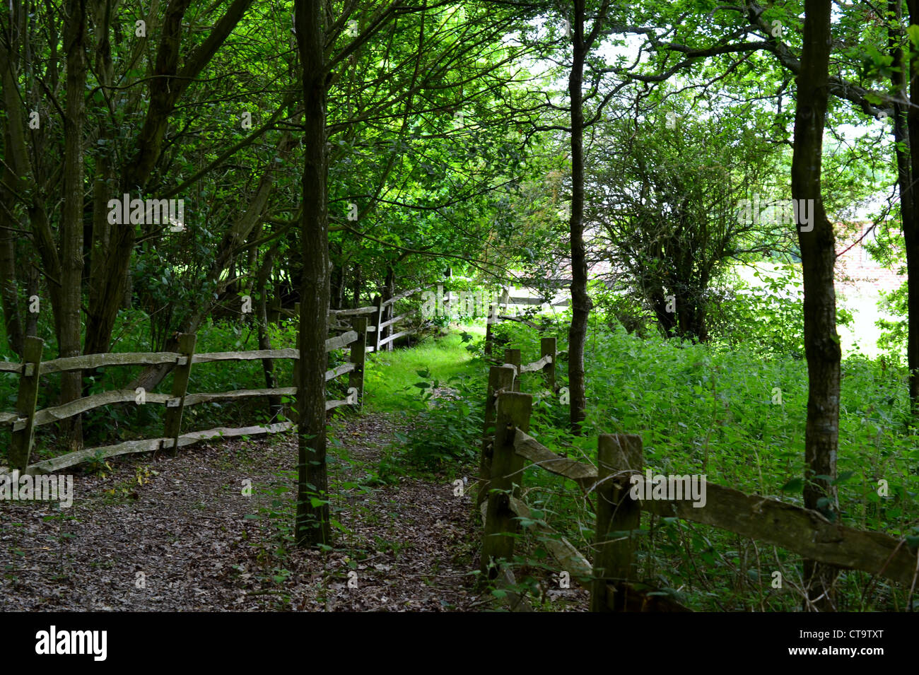 In and around Rye Stock Photo - Alamy