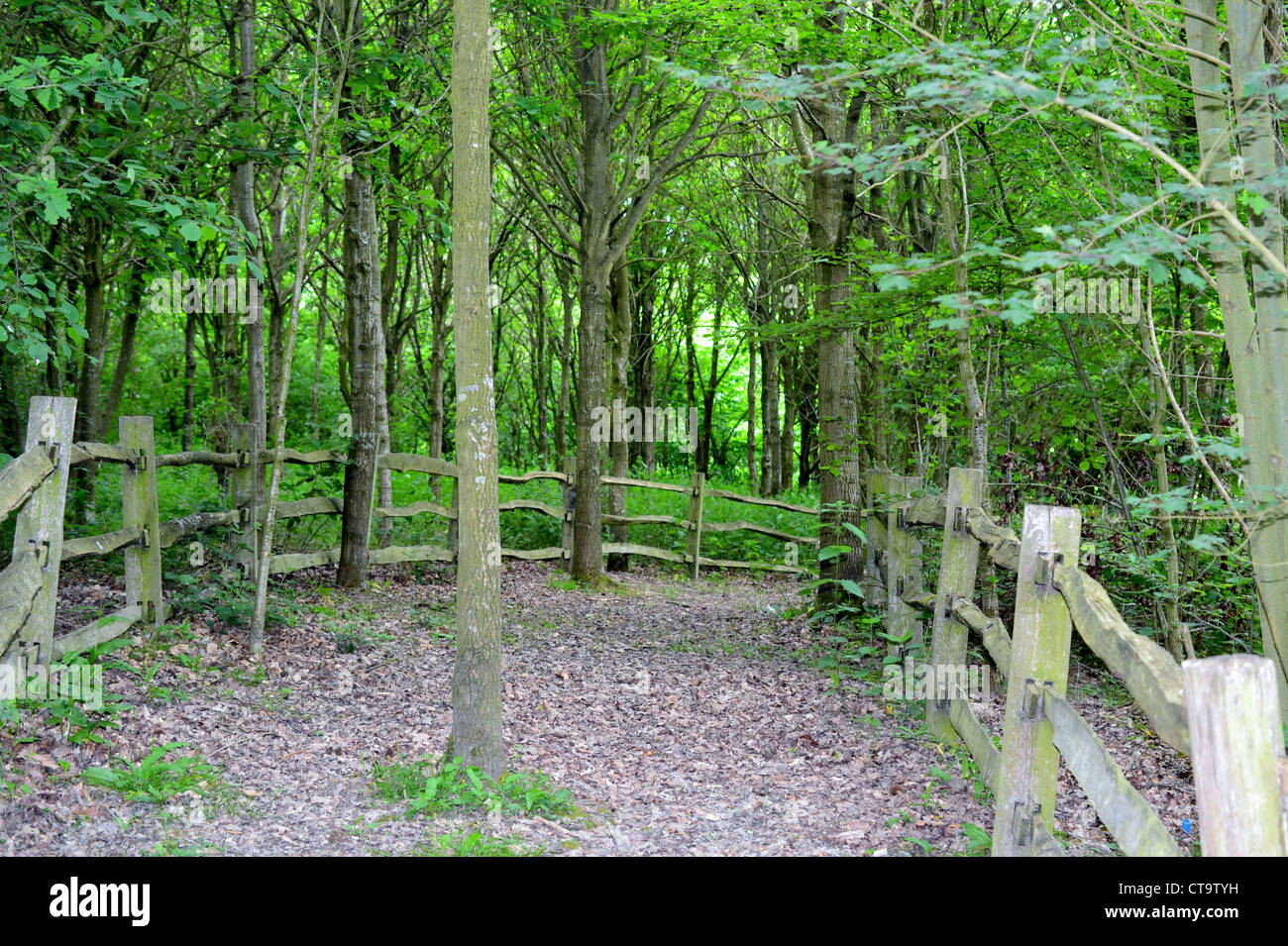 In and around Rye Stock Photo - Alamy